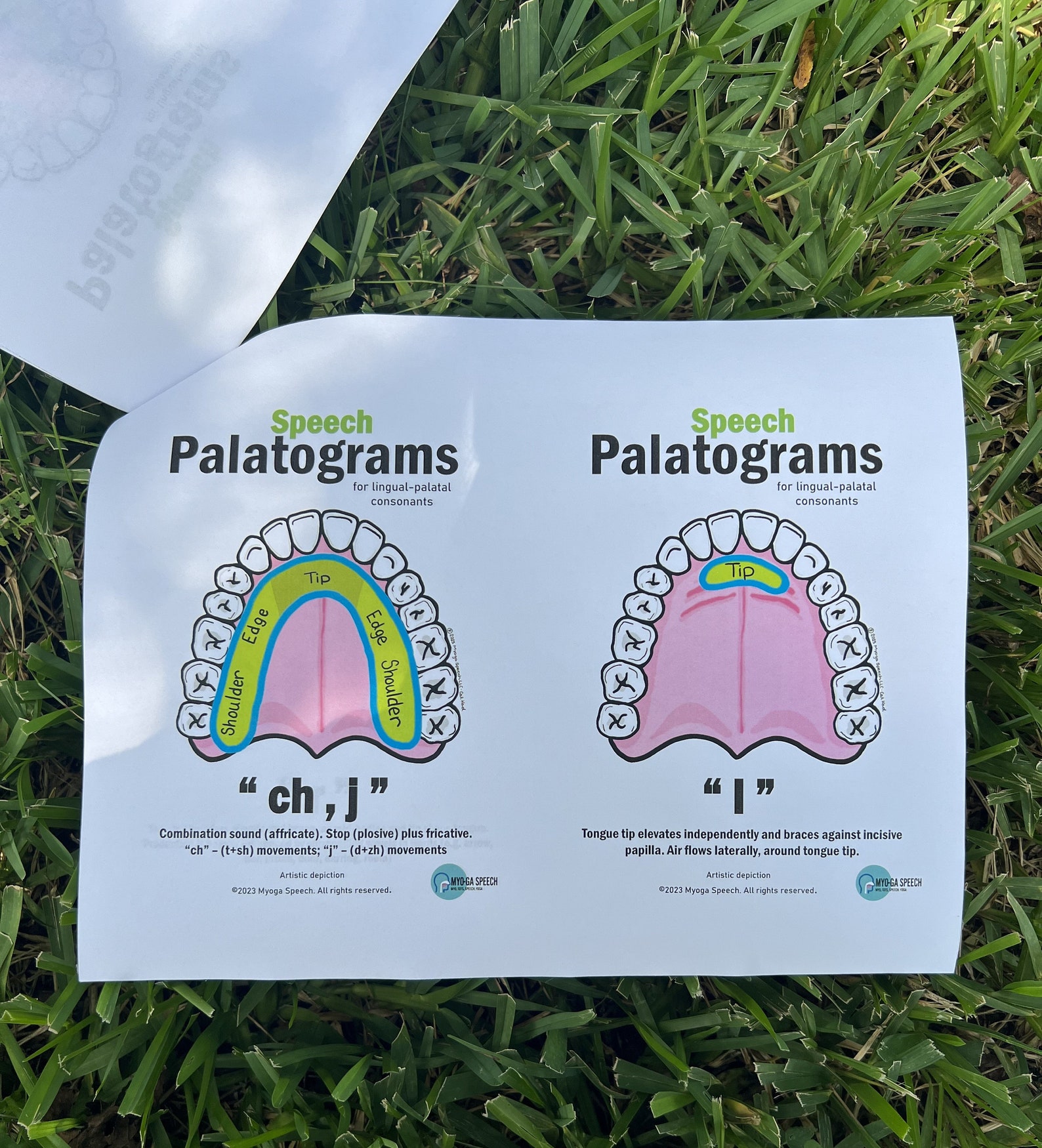 All SOUNDS Palatogram (13 Pages) of Tongue-palatal Consonants CHART ...