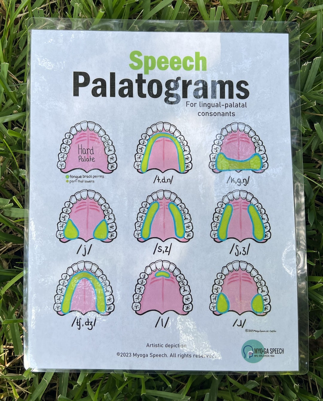 IPA Palatogram (1 Page) of Tongue-palatal Consonants CHART (PDF ...