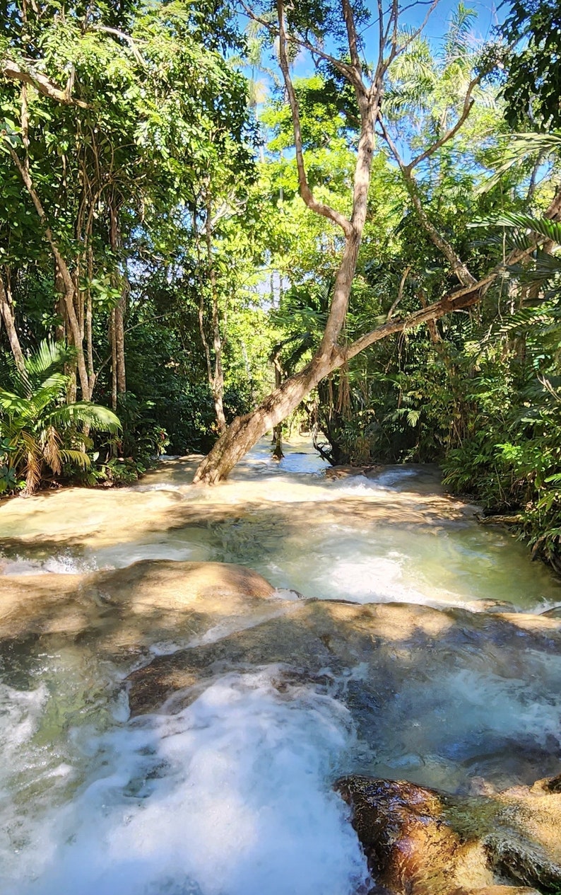 Agua De Rio Para Oshun Water River for Ochun Santeria Omi Odo - Etsy