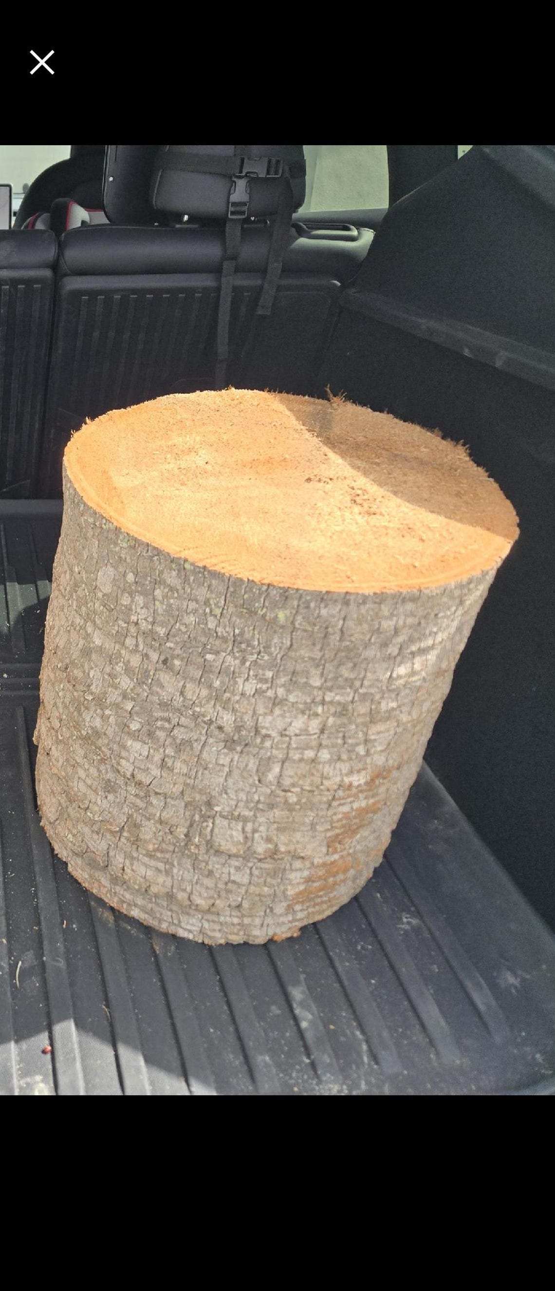 Tronco De Palma Para Shango | Palm Tree | Chango Tools | Palo De Palma ...