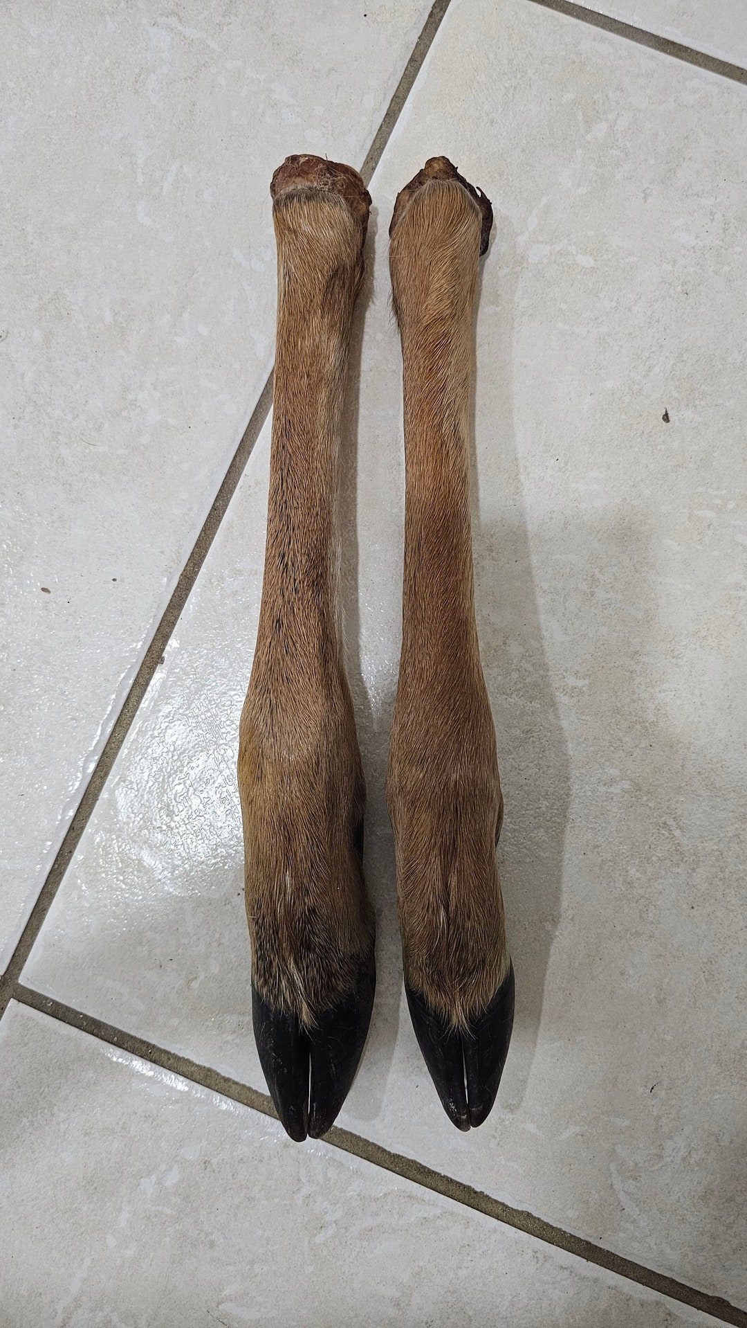Herramientas De Ochosi, Tools of Oshosi | Patas De Venado Para Oshosi ...