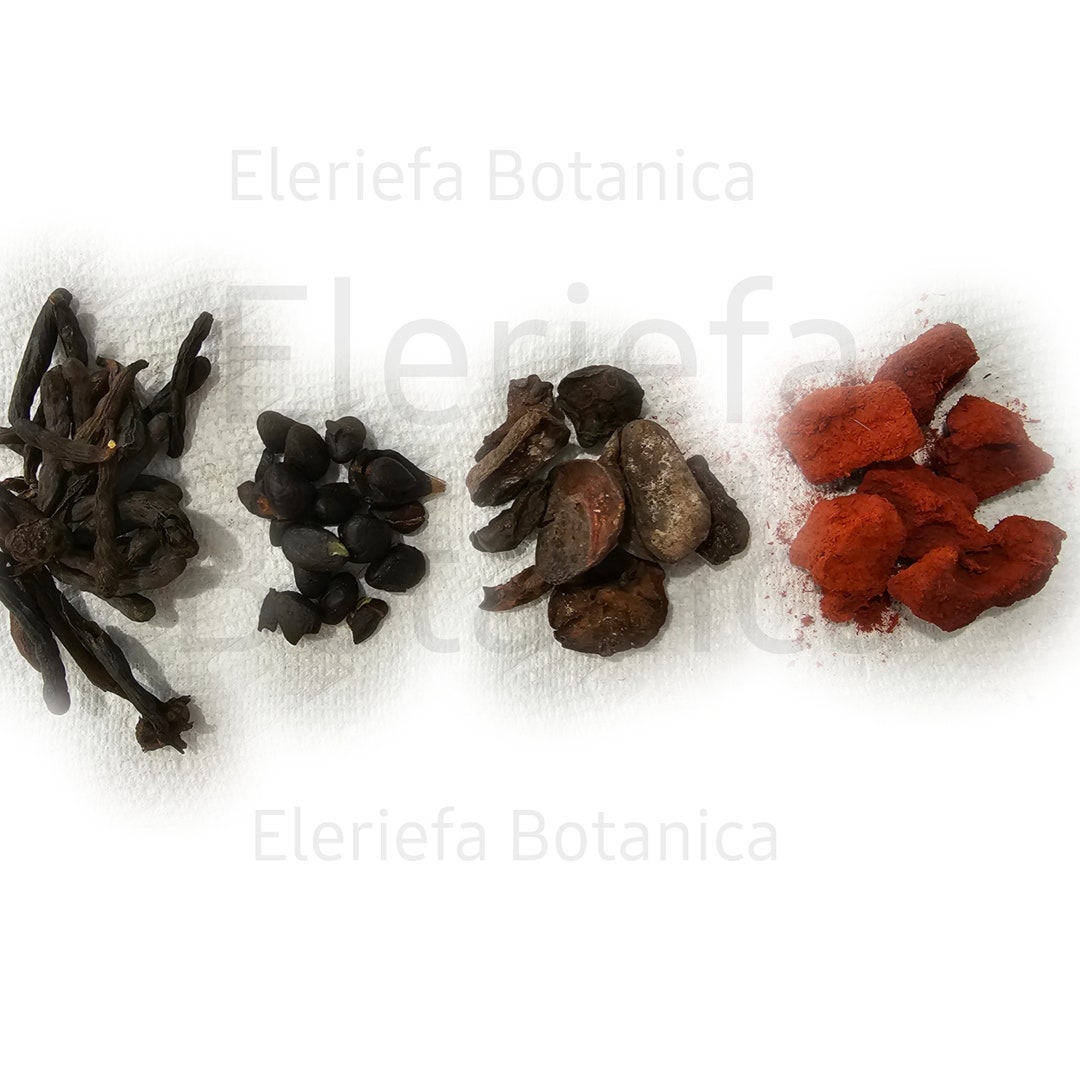 Ashe De Santo Santeria Ifa Religion Ache for Orisha - Etsy