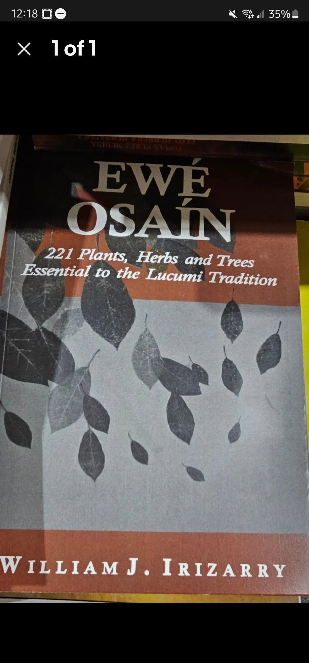 Ewe Osain Book/ Libro De Ewe/ IFA Santeria Book - Etsy