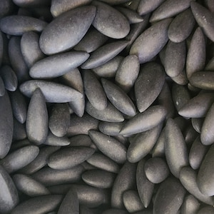 Piedra De Rayo Thunder Stone Para Shango O 7 Rayo - Etsy