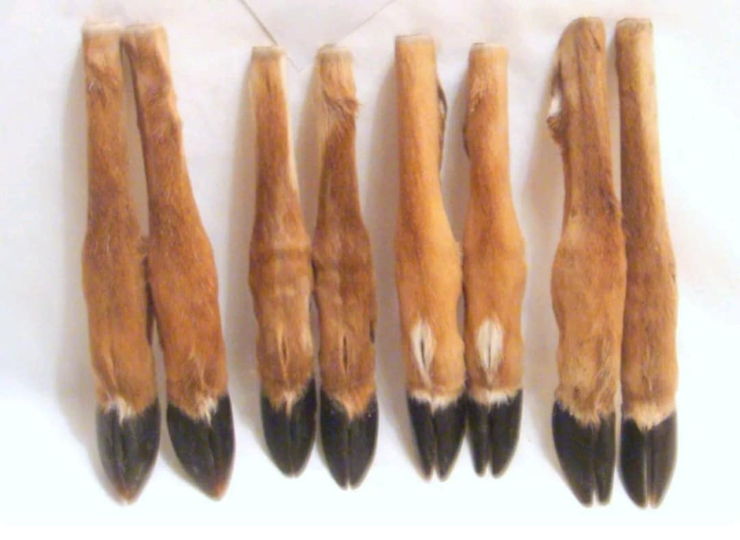 Herramientas De Ochosi Tools of Oshosi Patas De Venado Para - Etsy