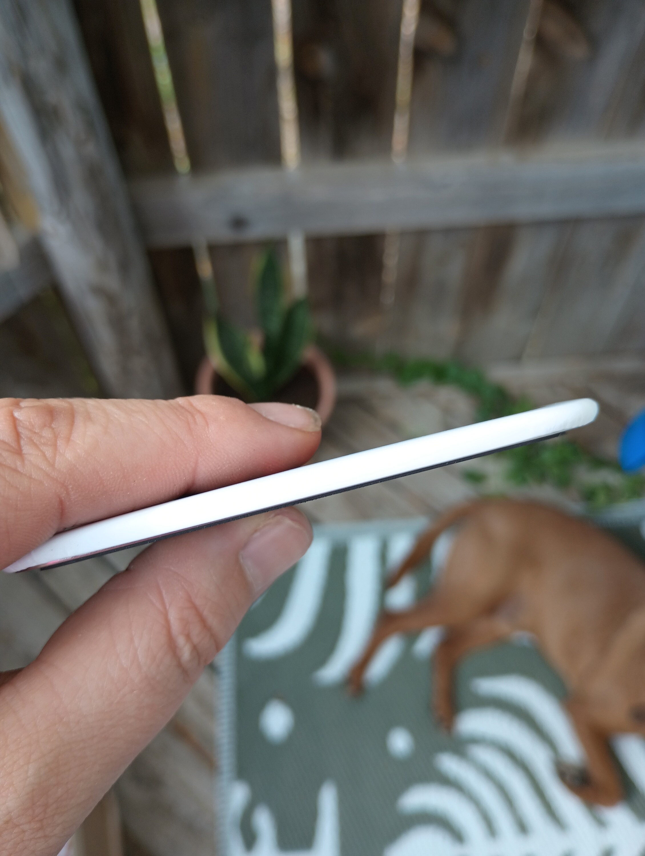 Sorry We're Drinking Magnet Funny Gifts for Friends Bar - Etsy