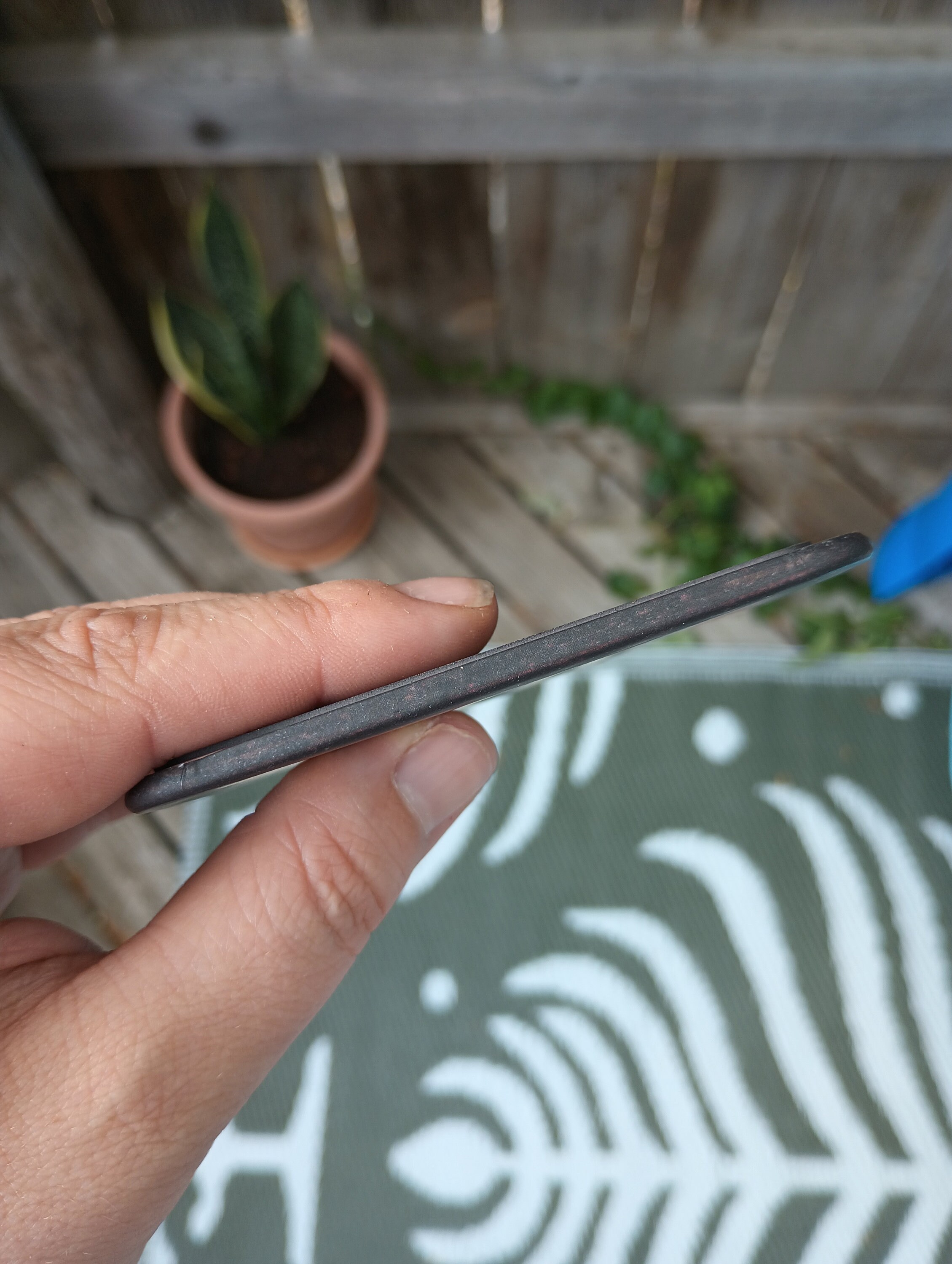 Funny Magnets Warning Our Family Tree is Full of Nuts - Etsy