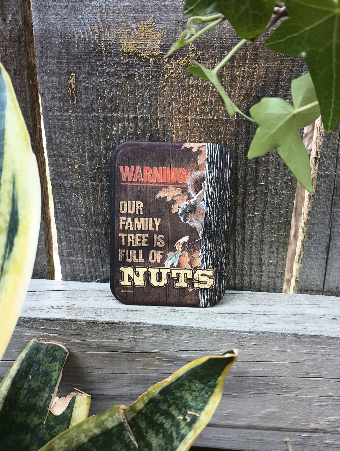 Funny Magnets Warning Our Family Tree is Full of Nuts Refrigerator ...