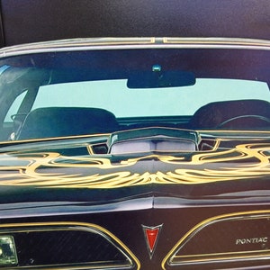 1977 Trans Am Front Bumper Metal Sign Pontiac Trans Am Signs General ...