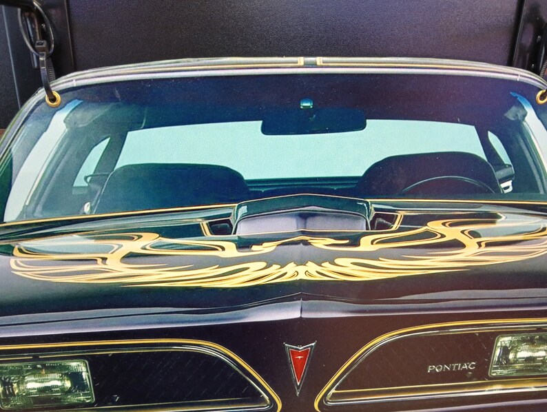 1977 Trans Am Front Bumper Metal Sign Pontiac Trans Am Signs - Etsy