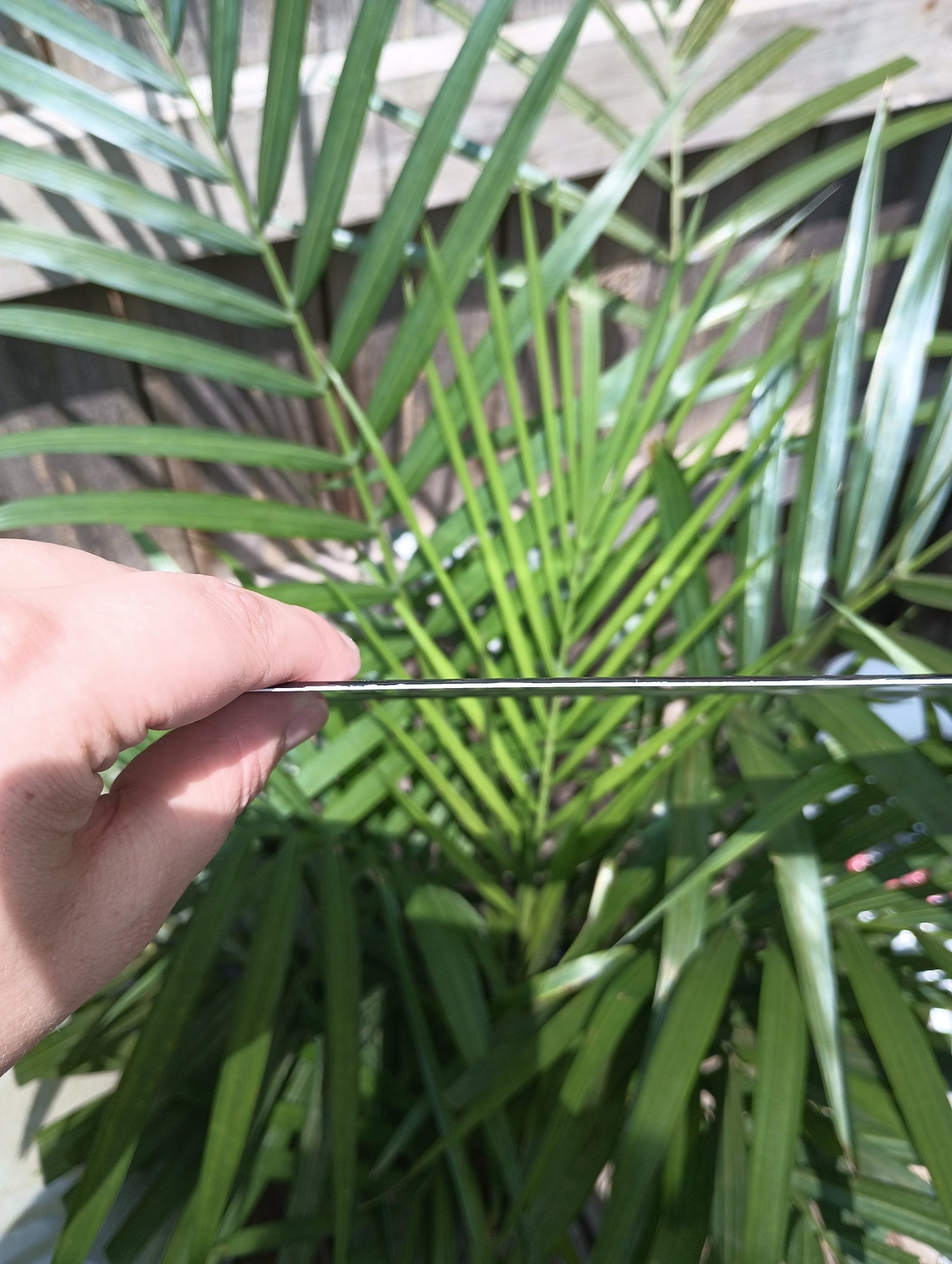 Pool Hall Arrow Sign Right Facing Arrows Tin Metal Sign - Etsy