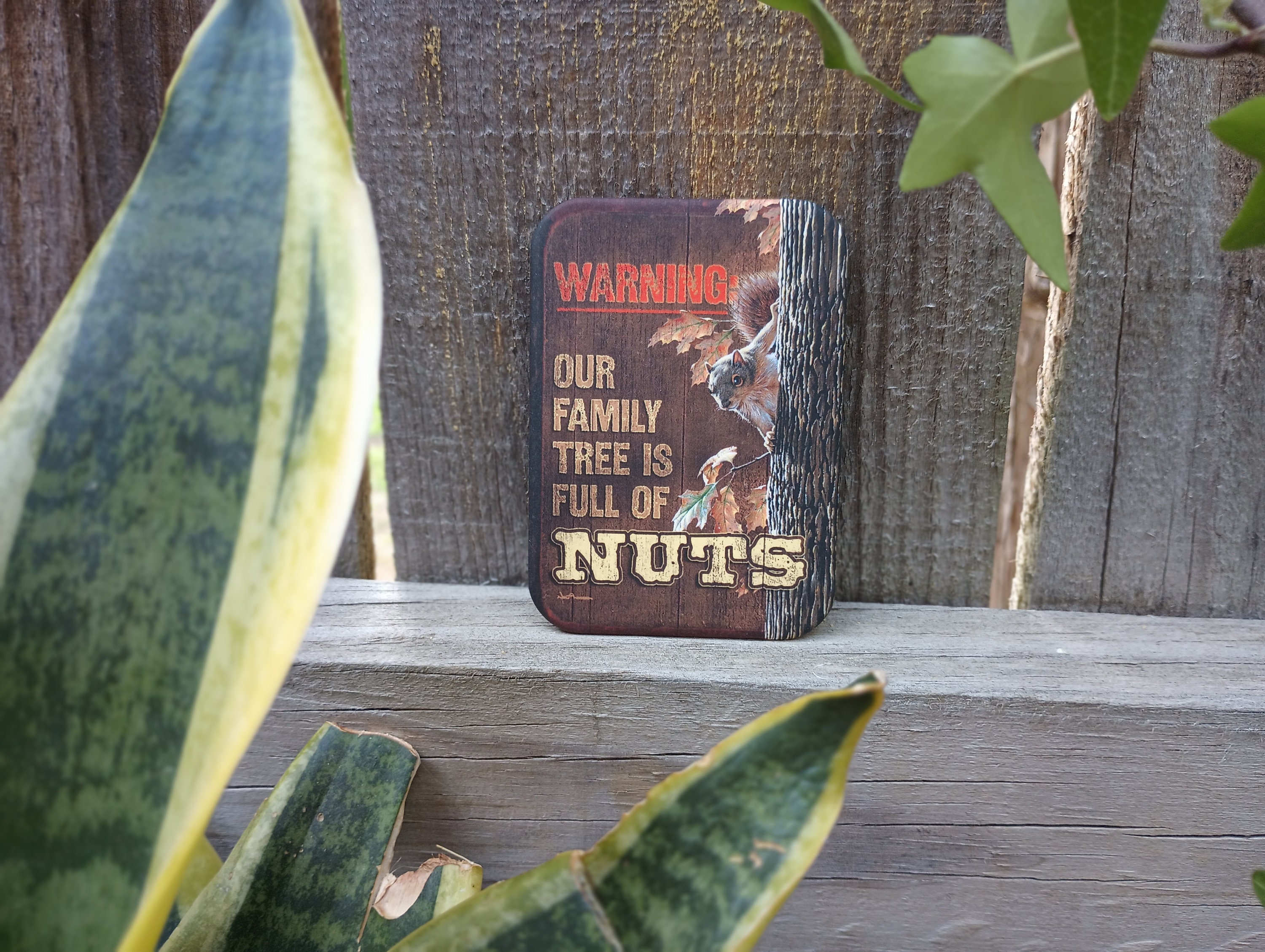 Funny Magnets Warning Our Family Tree is Full of Nuts - Etsy