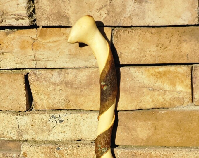 Corkscrew Willow Tree Walking Stick With Bark - Etsy