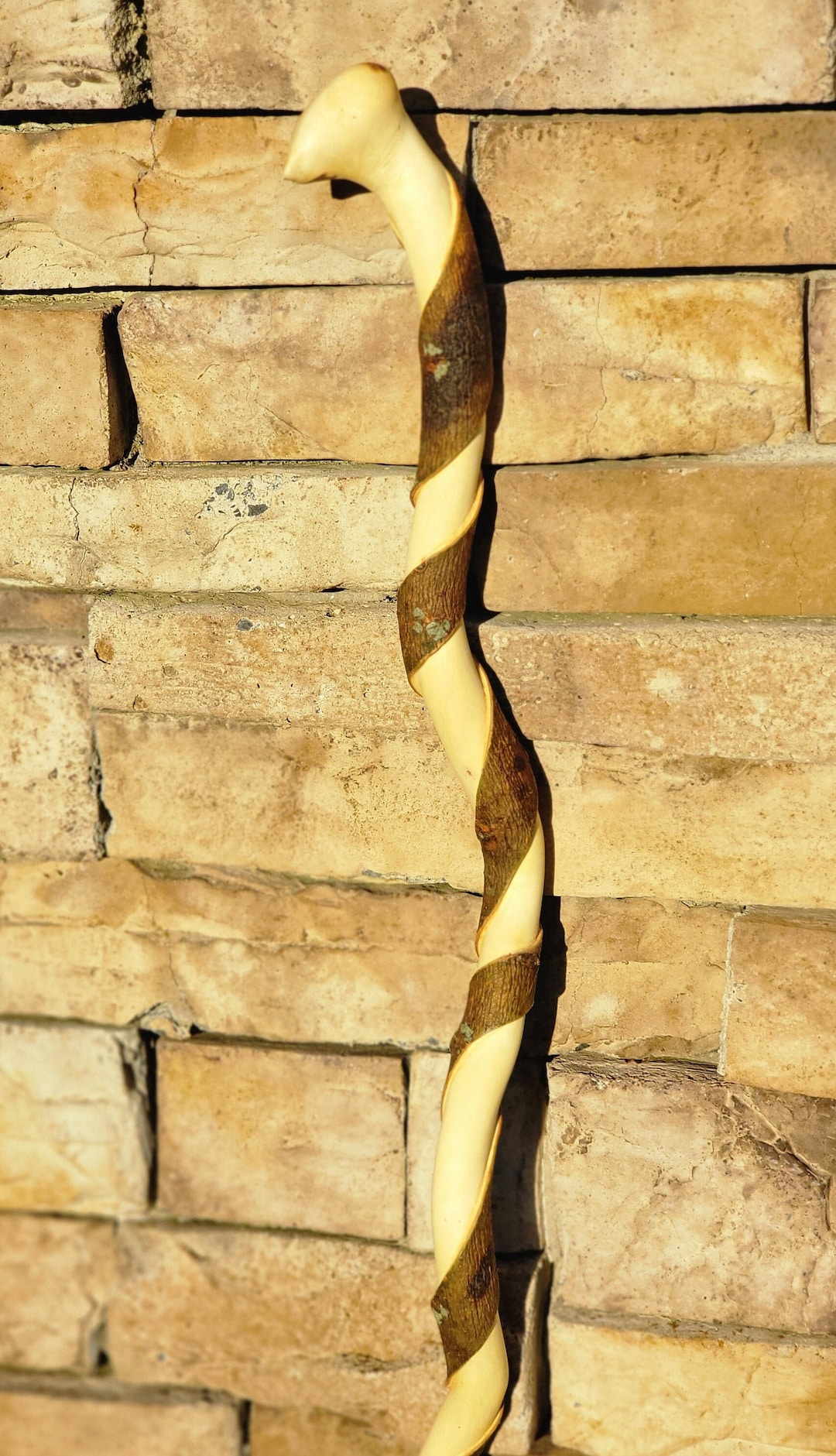 Corkscrew Willow Tree Walking Stick With Bark - Etsy