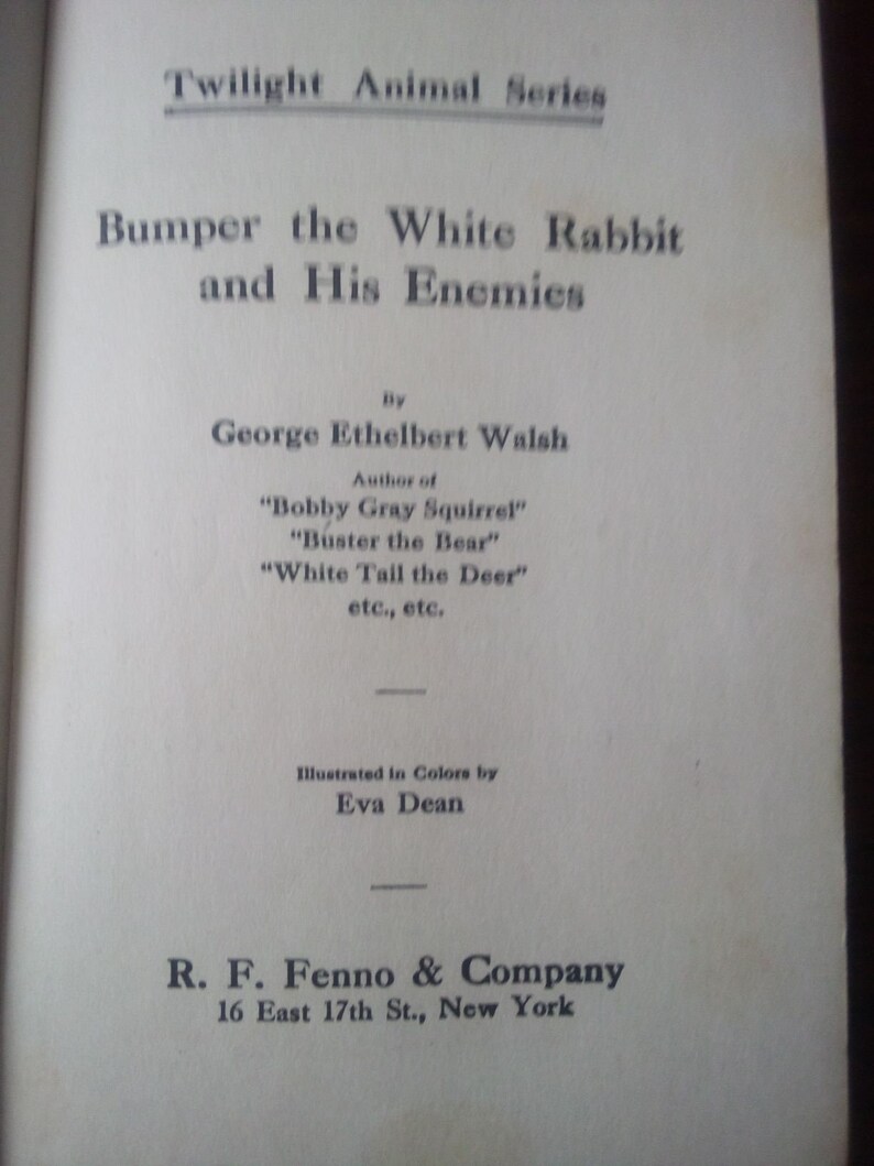1917 Bumper the White Rabbit and His Enemies by George Ethelbert Walsh ...