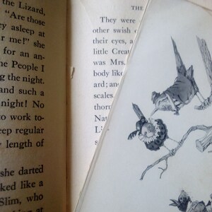 Rare 1920 Edition of Adventures of Johnny Jackrabbit by Mary Craig ...