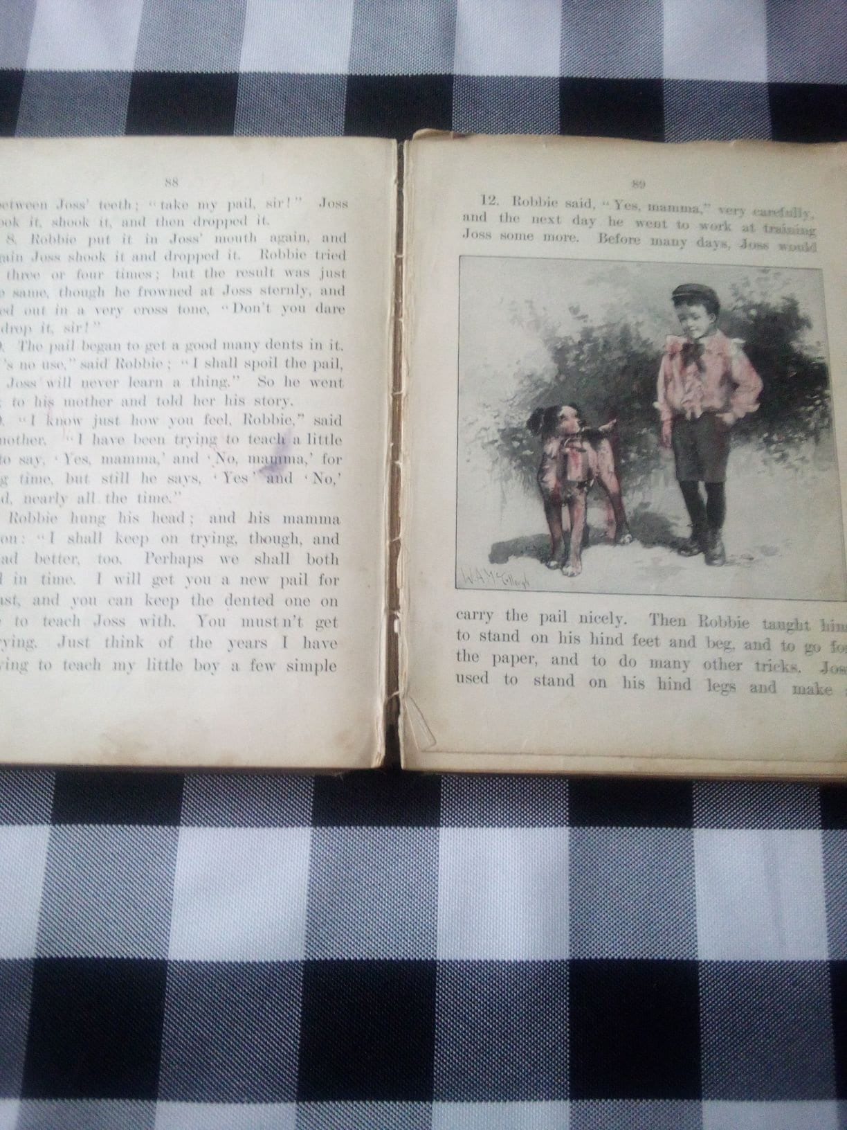 1902 A Third Reader, Stickney, Ginn & Company, Great Collectible ...