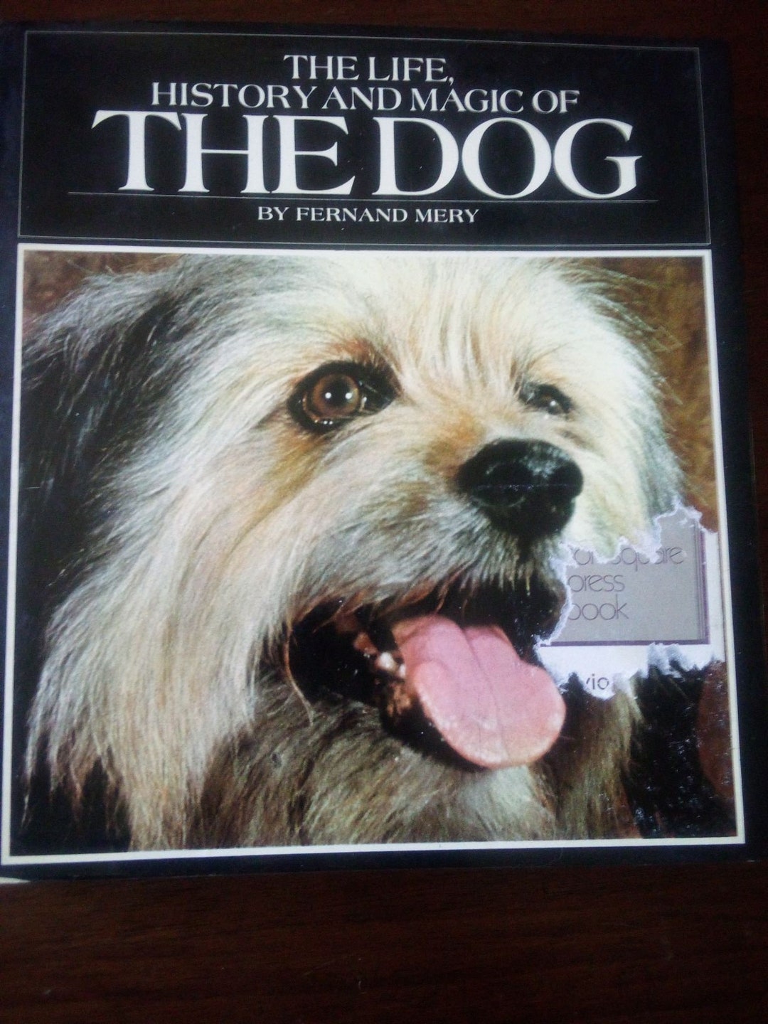 Rare 1968 the Life, History, and Magic of the Dog by Fernand Mery ...