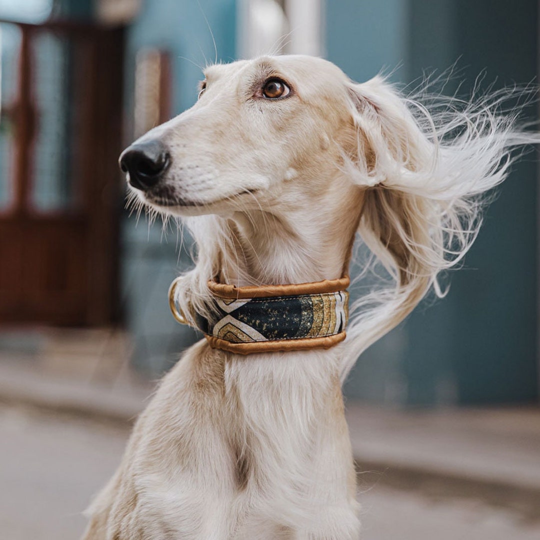 Tangle Free Collar for Poodle / Sighthound/protective Silky Dog Collar ...