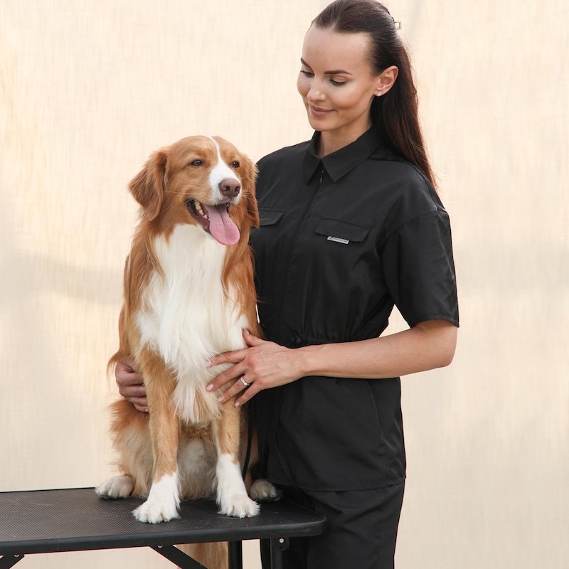 Dog Groomer Apparel - Etsy