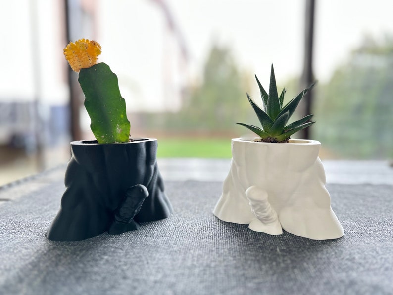 Succulent Vase Men Body Planter Pot Butt Vase Nude Male Torso Vase ...