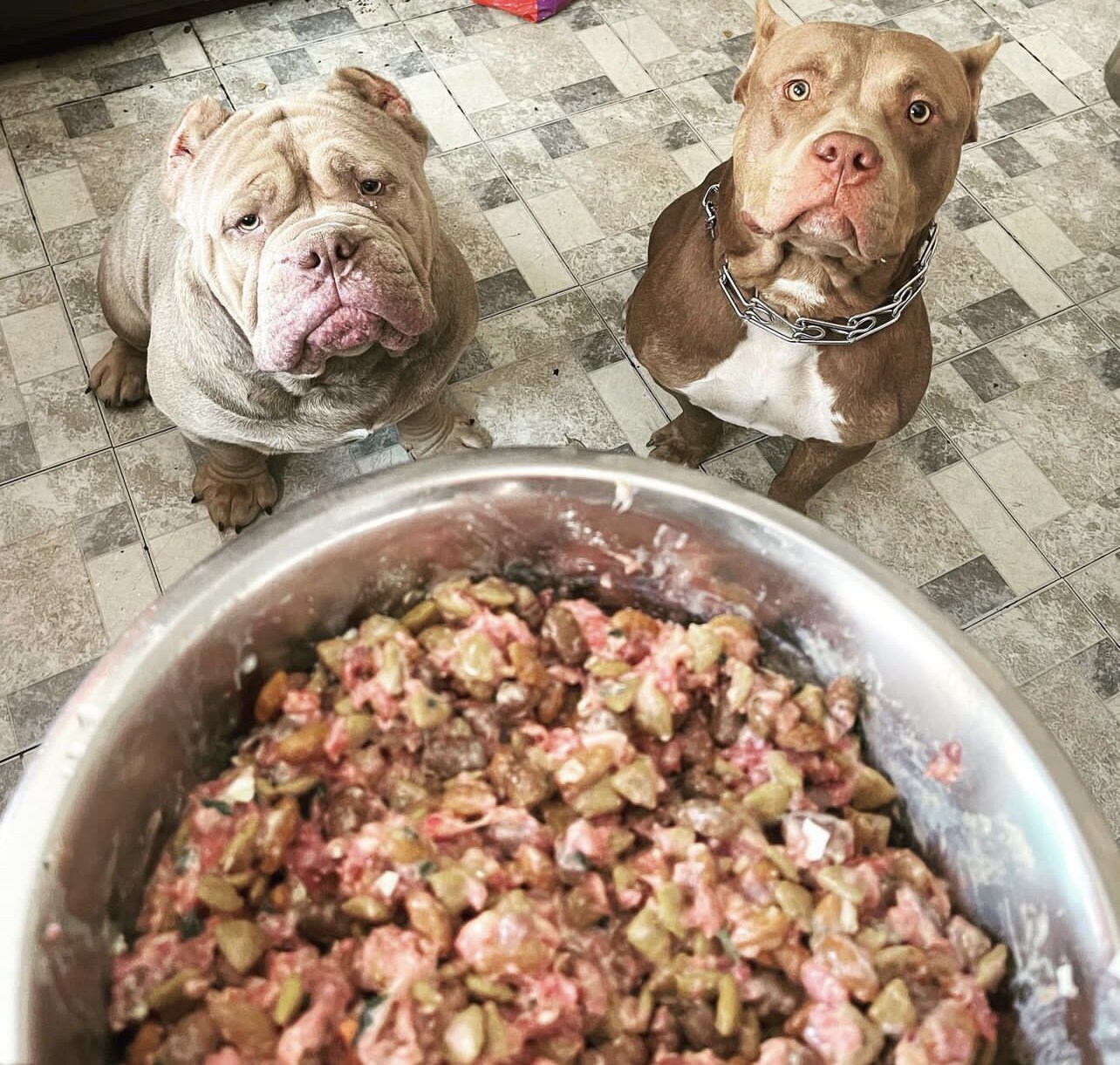 All Natural and Balanced BARF Model Canine Diet - Etsy