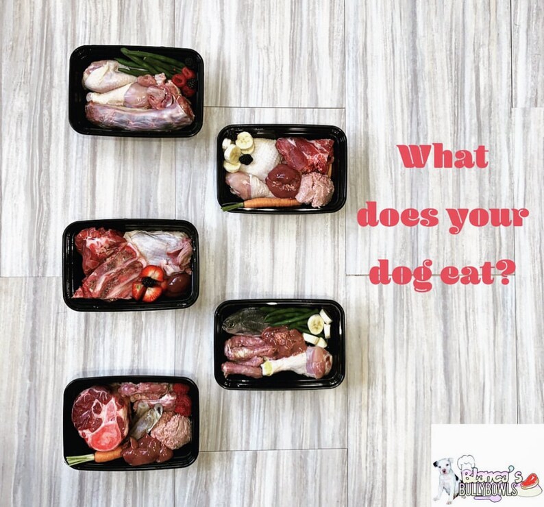 All Natural and Balanced BARF Model Canine Diet - Etsy