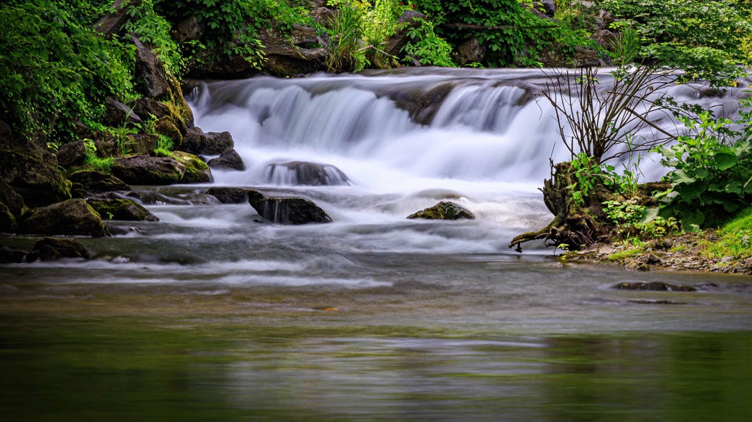 Letort Spring Run Flowing Near the End of Its Run. Peaceful and Quiet ...