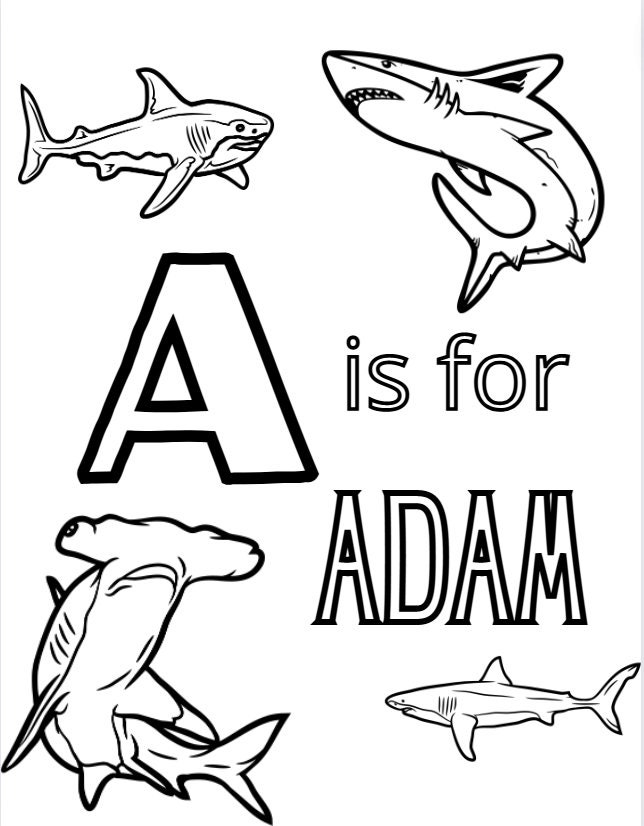 Custom Coloring Page Pack : Assorted for Boys - Etsy