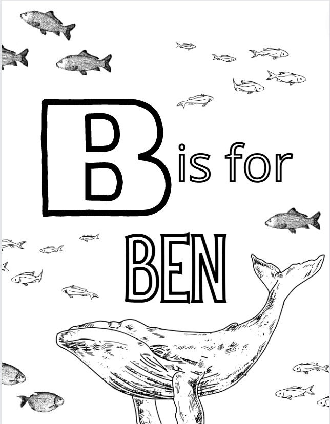 Custom Coloring Page Pack : Assorted for Boys - Etsy