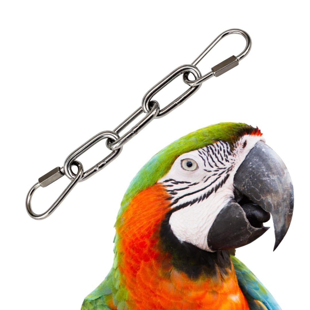 Bird Toy Hardware | Stainless Steel Toy Hanger With Quick Links | Extra ...