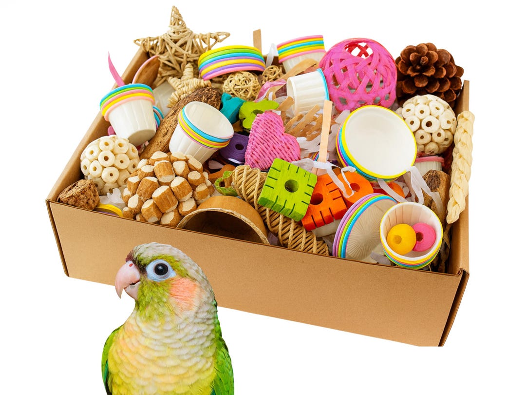 FORAGING TRAY | Eclectic and Colorful Mix of Bird-safe Shredders and ...