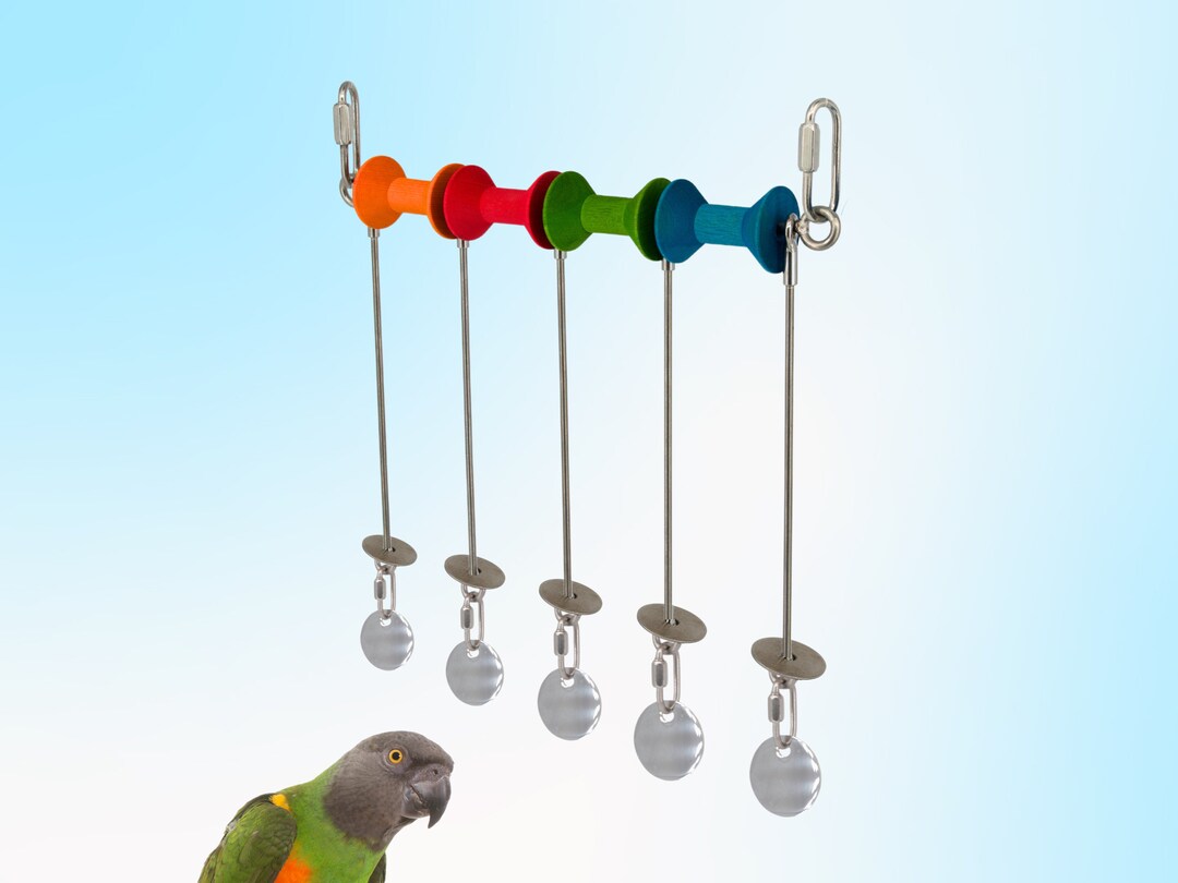 JANGLY WALL of TOYS™ / Medium / the Ultimate Parrot Playstation ...