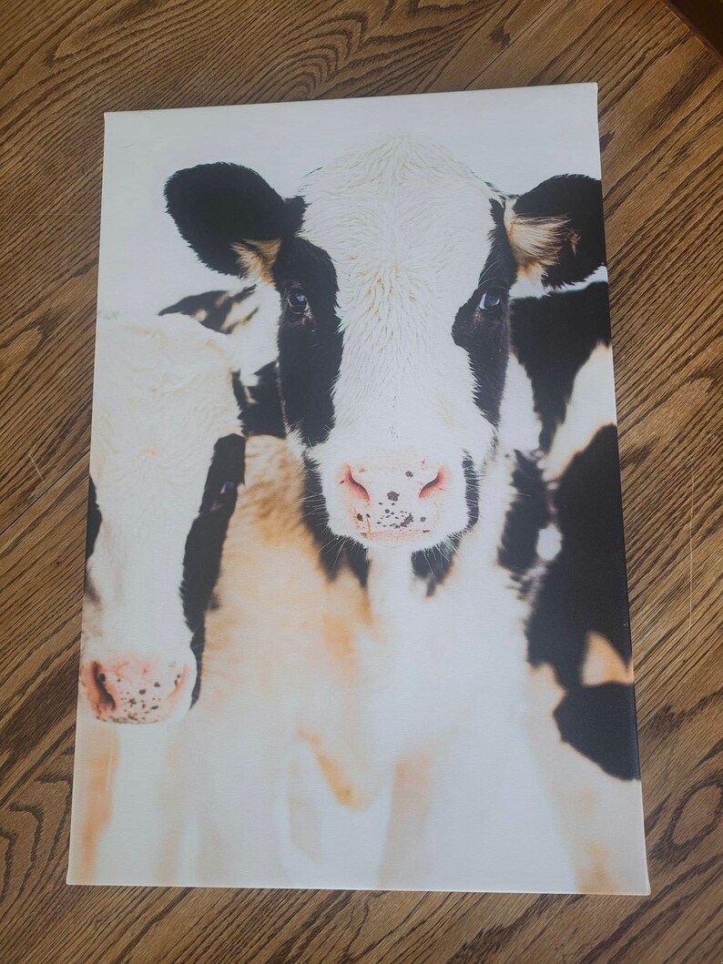 Cow Print Gifts, Cattle Print, 24 X 16 Cowboy Canvas Print, Western ...