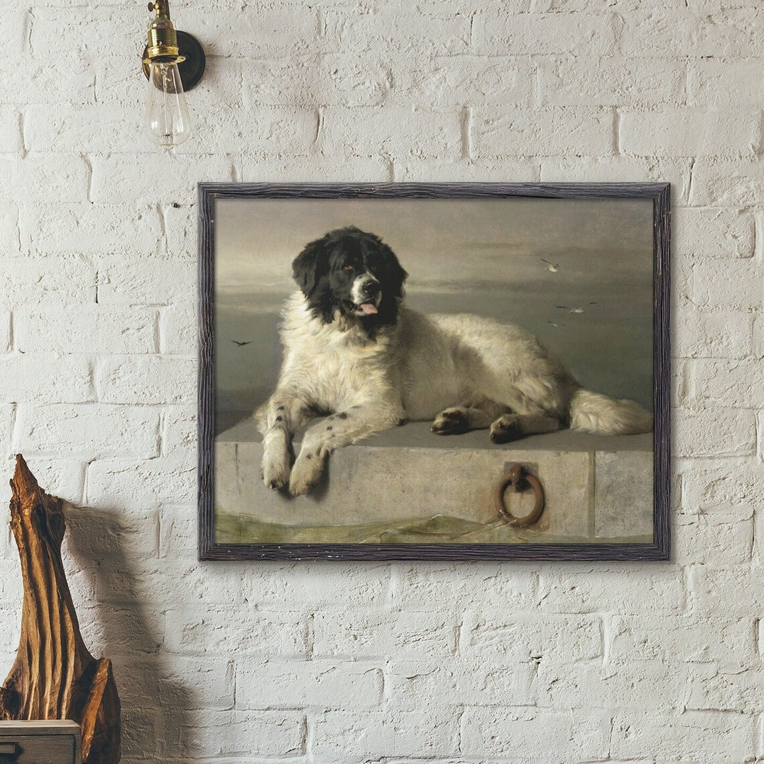 A Distinguished Member of the Humane Society by Sir Edwin Henry ...