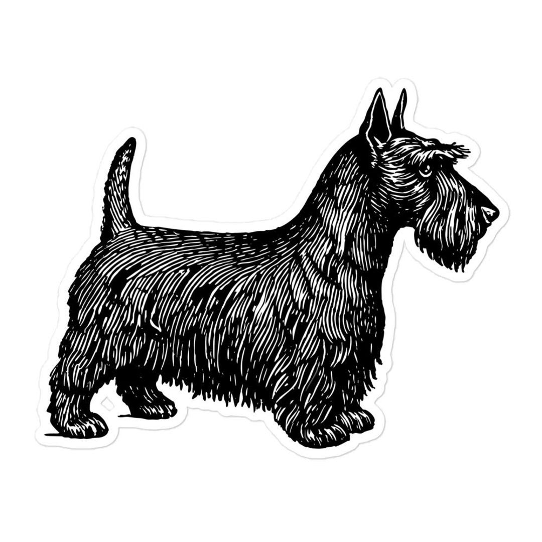 Scottish Terrier Bold Minimalist Dog Illustration for Terrier Lovers ...