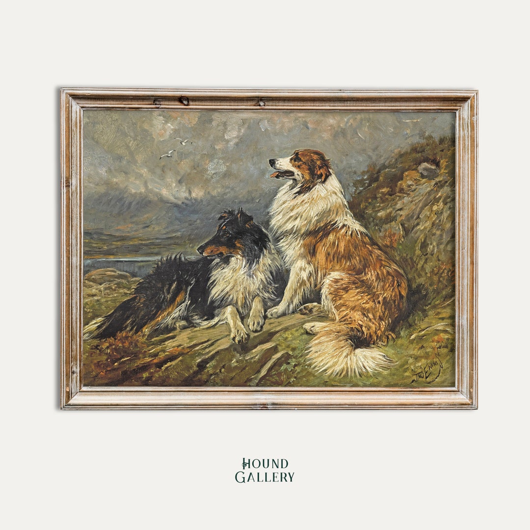 Rough Collies on the Moor Highlands Poster Print - Etsy