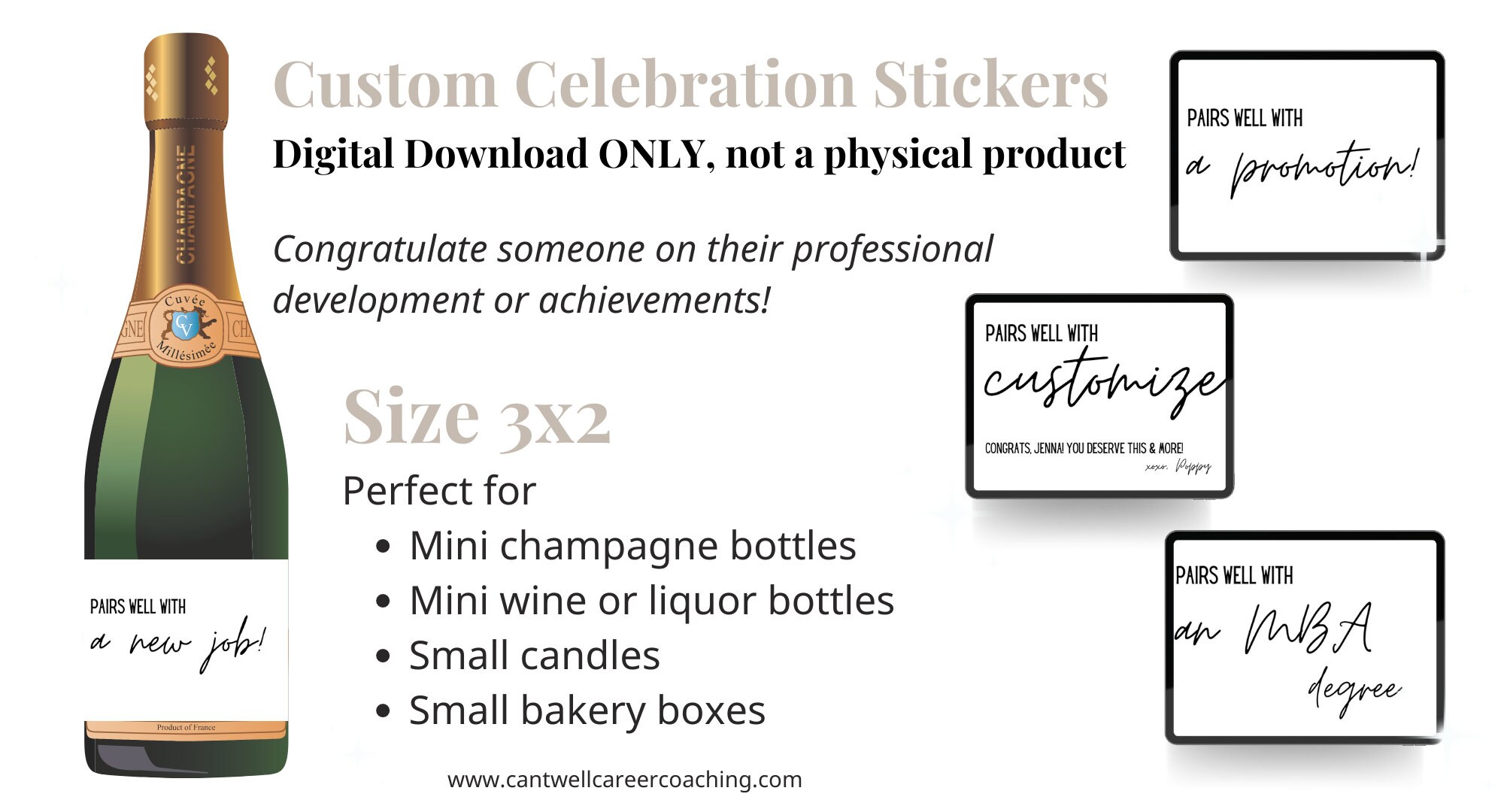 3x2 Sticker Templates Fully Editable in Canva Professional Development ...