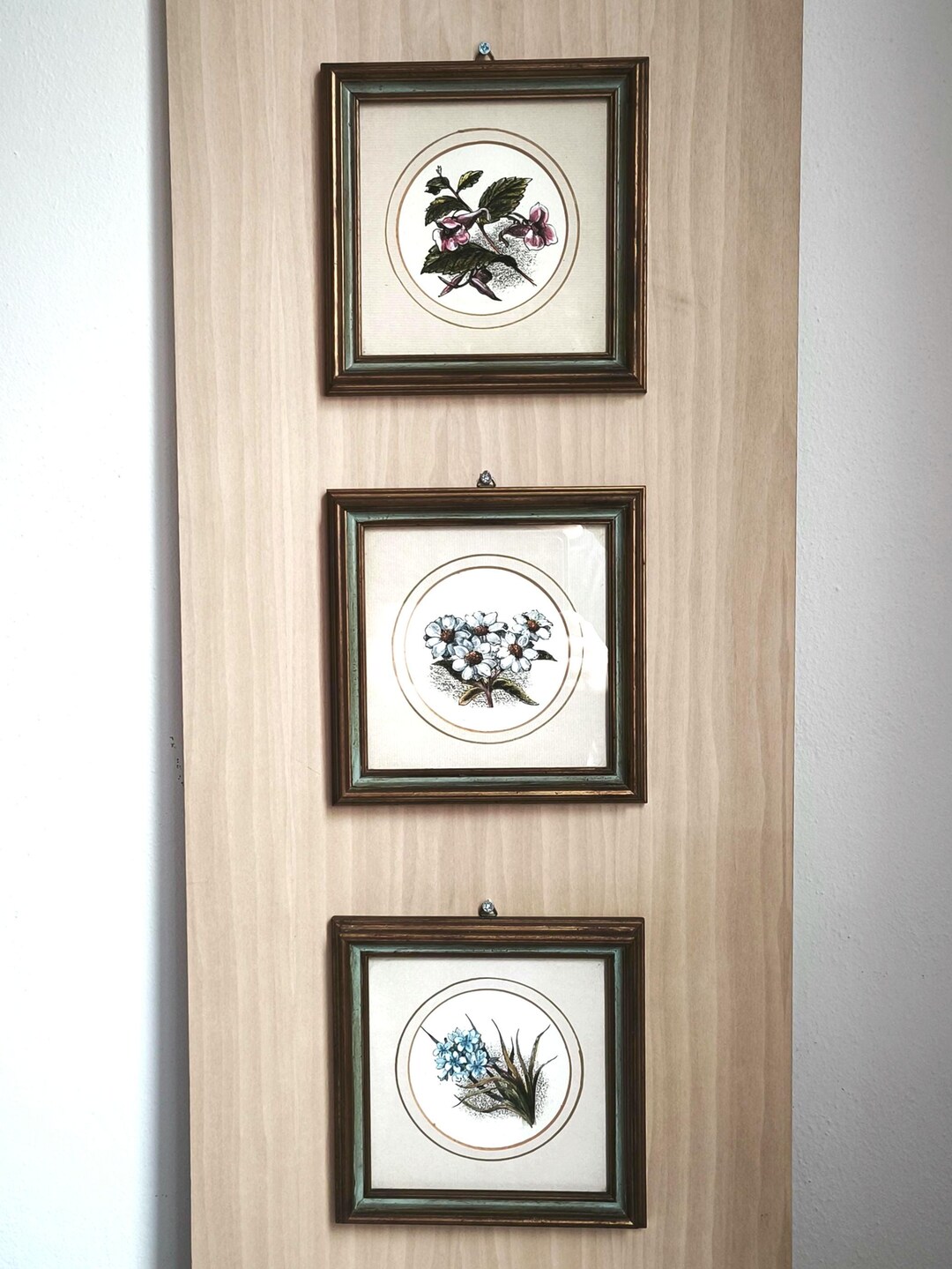 Framed Botanical Prints Set – Hand-colored Florentine Art, Italian ...