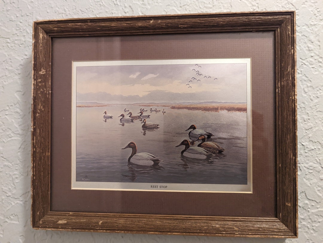 Framed Vintage Foil Duck Prints. David Maass Set of 3 Ducks in 70s ...