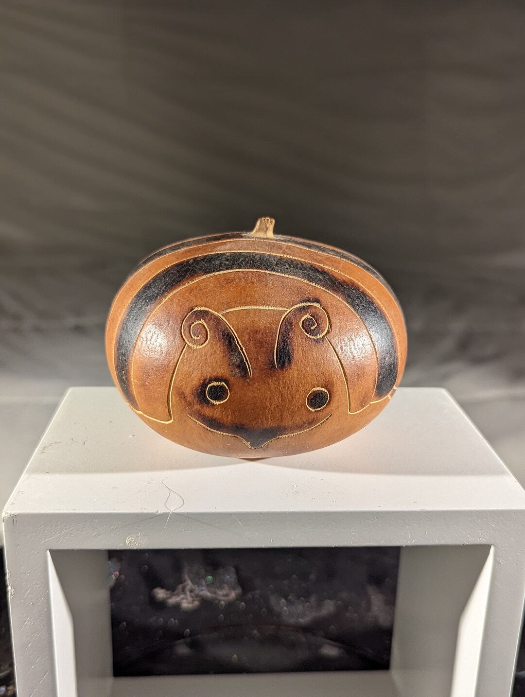 Small Peruvian Gourd Art. Small Bee Carving on Gourd From Peru. Vintage ...