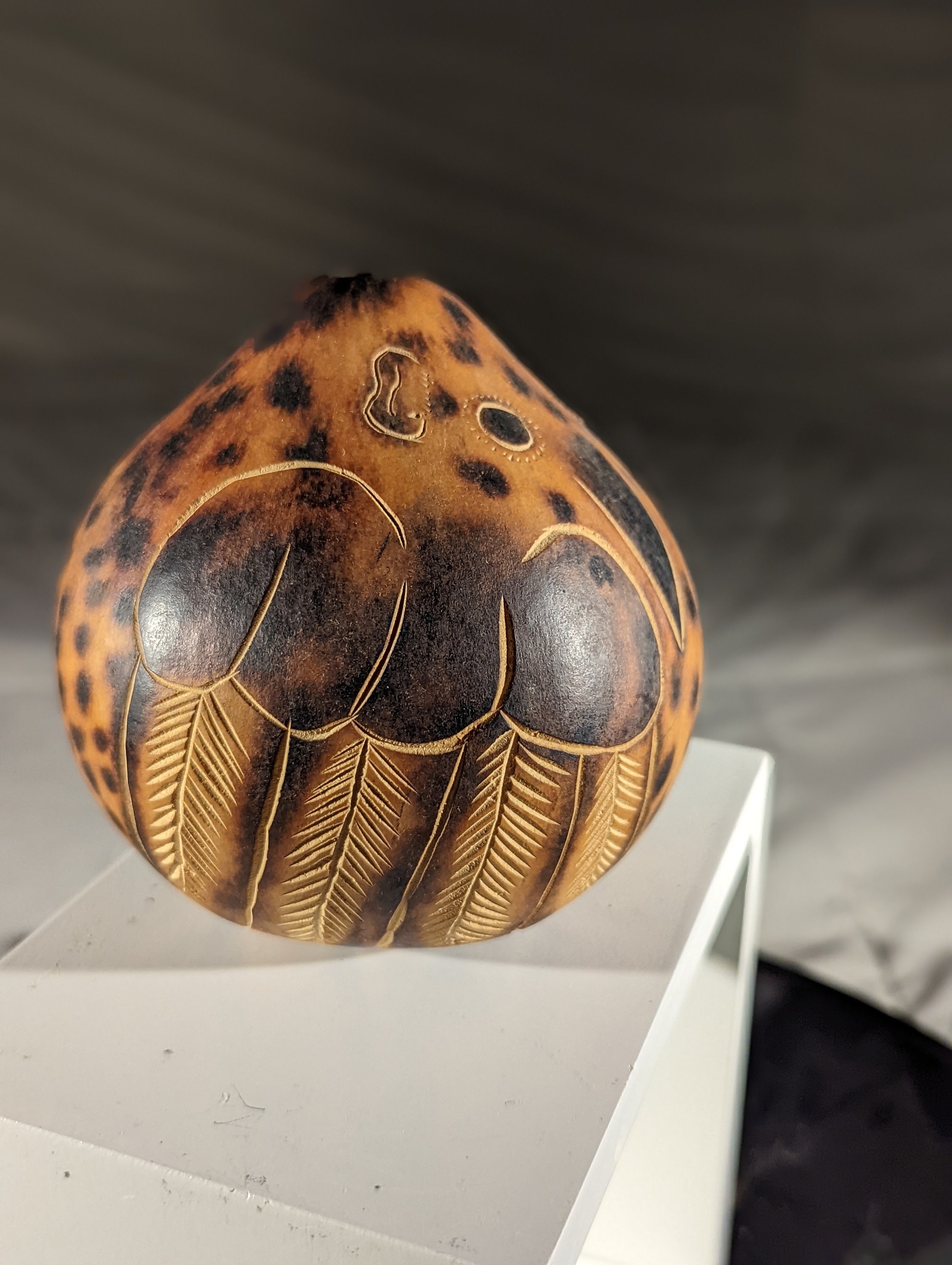 Peruvian Gourd Art. Carved Bird Gourd Art From Peru. Indigenous South ...