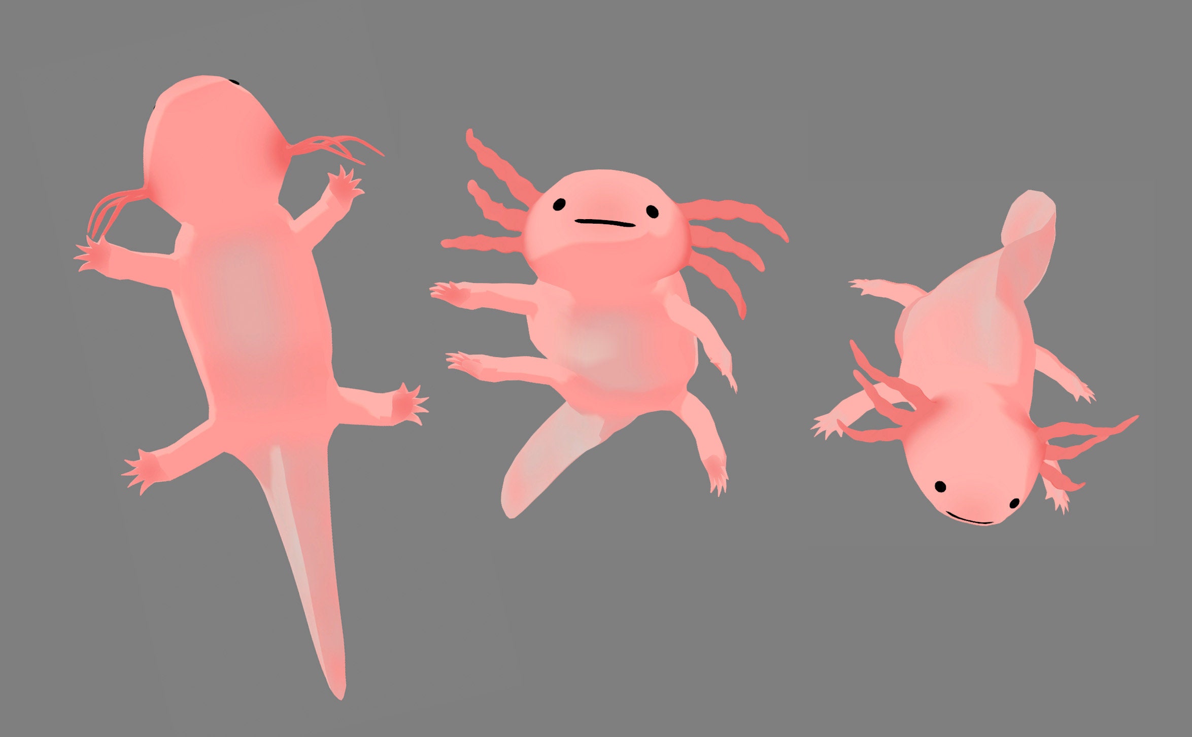 Axolotl Vtuber Avatar Premade 3D Model VRM - Etsy