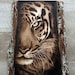 Tigress - Woodburned Fine Art Tiger Pyrography Basswood - Etsy
