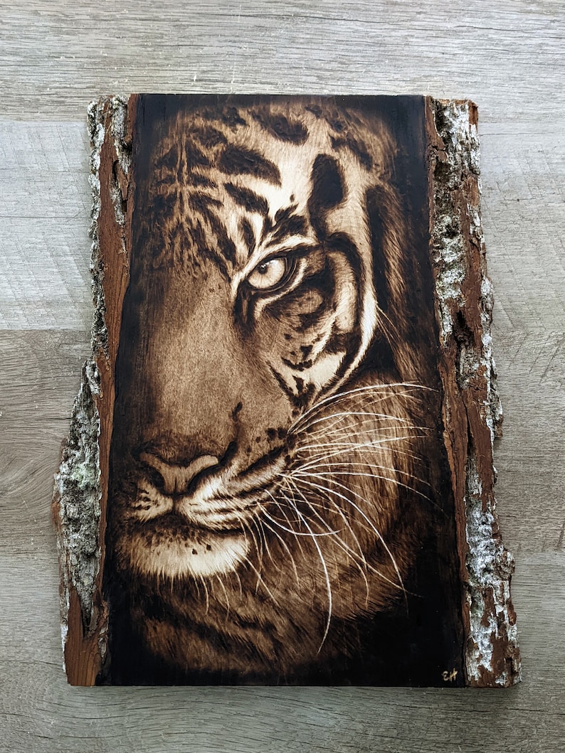 Tigress - Woodburned Fine Art Tiger Pyrography Basswood - Etsy