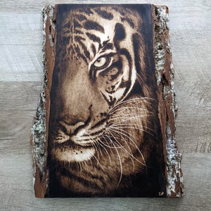 Tigress - Woodburned Fine Art Tiger Pyrography Basswood - Etsy
