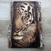 Tigress - Woodburned Fine Art Tiger Pyrography Basswood - Etsy