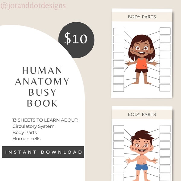 Anatomy Busy Book - Etsy