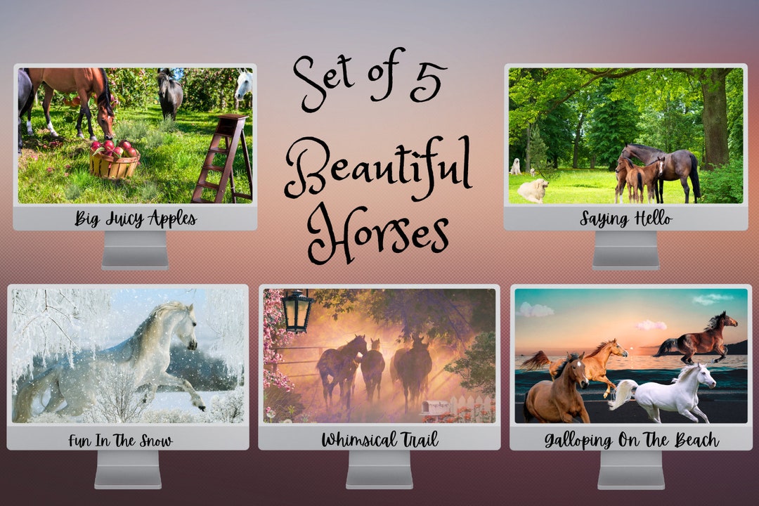 Beautiful Horses Desktop/laptop Wallpaper/lock Screen L Digital ...