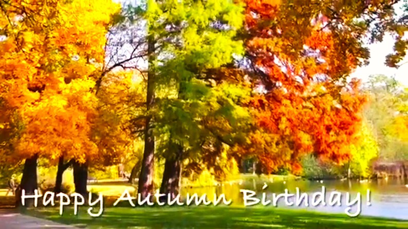 Happy Autumn Birthday Animated Musical Ecard: MP4 Digital Download - Etsy